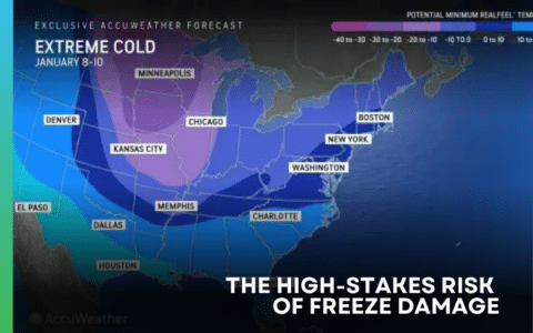 Coil Freeze Protection for Cold Climate HVAC Systems